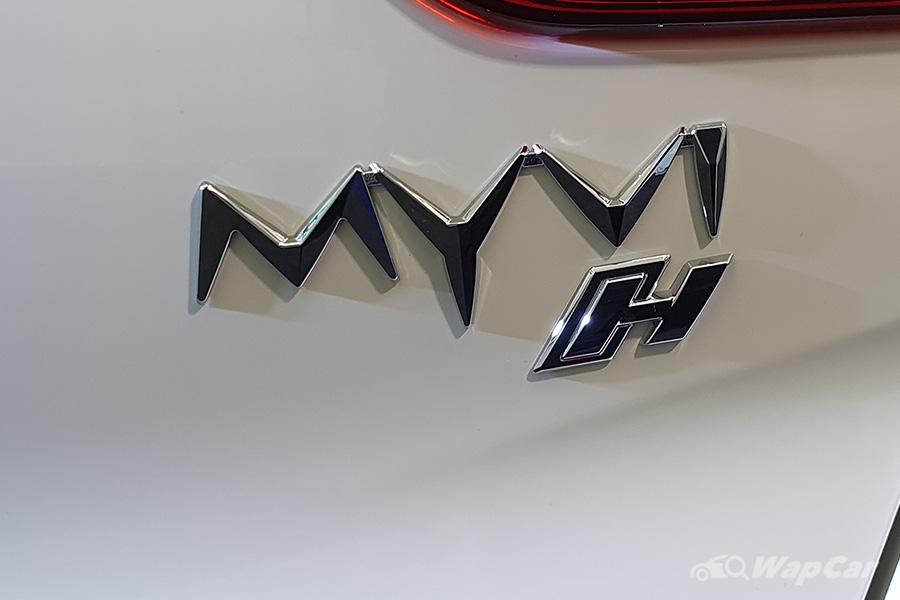 Perodua Old Logo